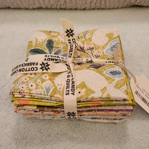 What A Hoot 38 X 43 Quilt Kit by Turnowsky for QT Fabrics Sold by the ...