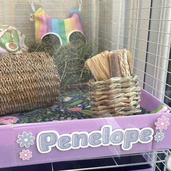 Halloween Cage Theme Stickers for Hamsters, Gerbils, Fish, Reptiles ...