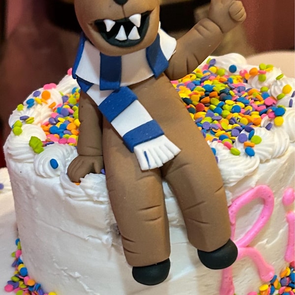 Doctor Cake Topper , Medical Cake Topper , Nurse Doctor Fondant Topper ...