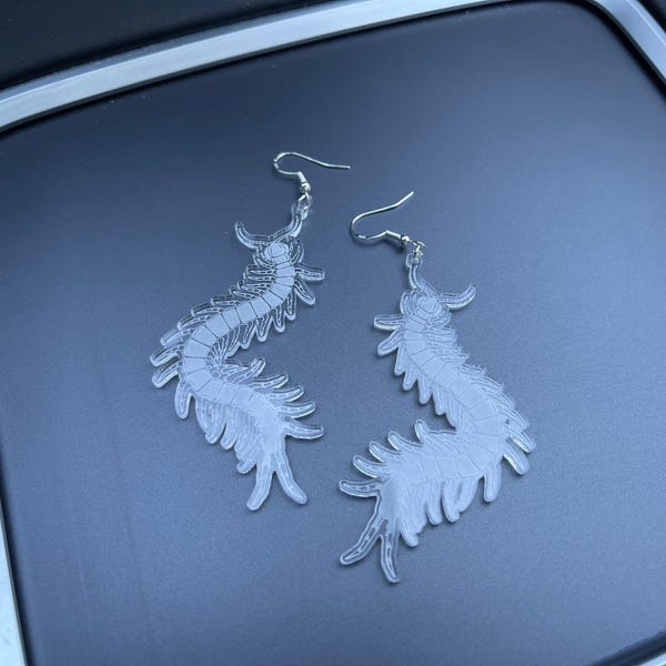 Centipede - Scolopendra - Centipedes - Invertebrates - Arthropod ...