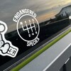 6 Speed Gear - Endangered Species - Stick Shift - Manual Car - Car ...