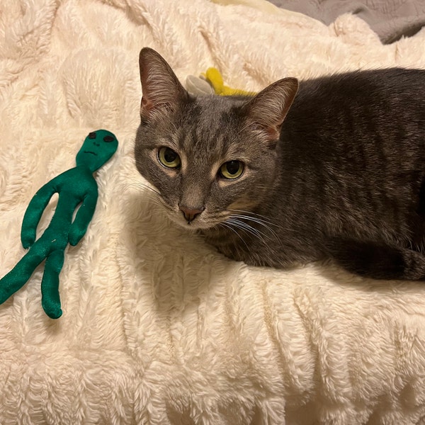 Loch Ness Monster Catnip Cat Toy - Etsy