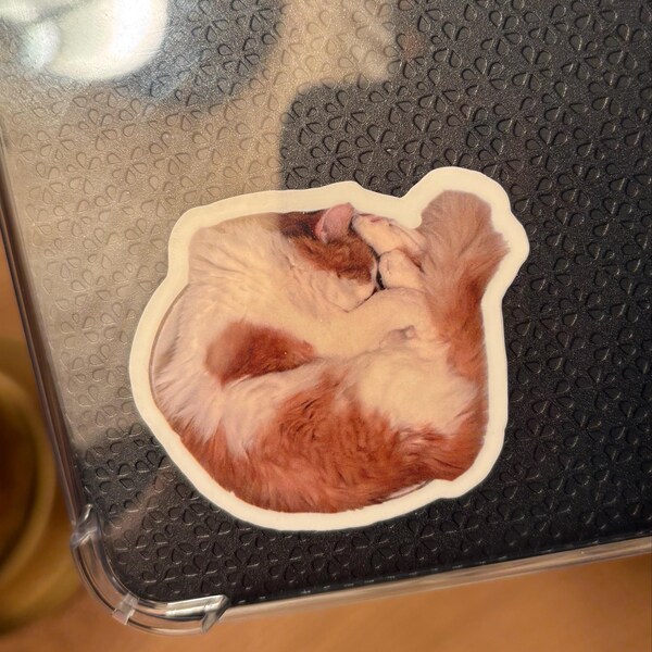 Custom Cartoon Sticker From Photo, Personalized Sticker Gift, Cartoon ...