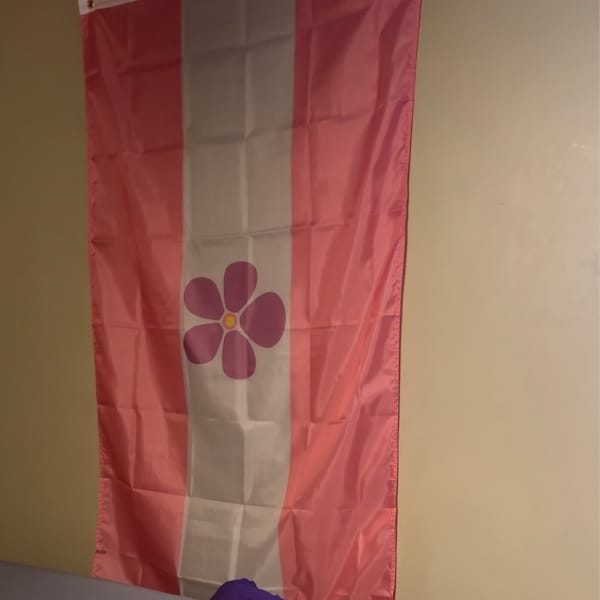 Sapphic Pride Flag, 3x5' Pride Flag or Hand Flag, Women Loving Women ...