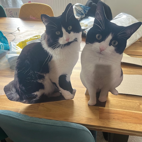 120 Anime Meme Animated Emote Pack for Youtube, Twitch, Discord, Tiktok ...