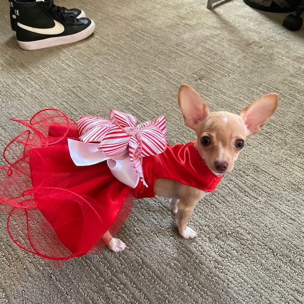Red Dog Dress, Denim Dog Dress, Dog Dresses, Fancy Dog Dress, Dog Party ...