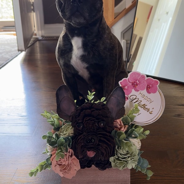 FLOWER DOG] Custom Dog Bouquet] Puppy Flower] Flower Dog Custom Order ...
