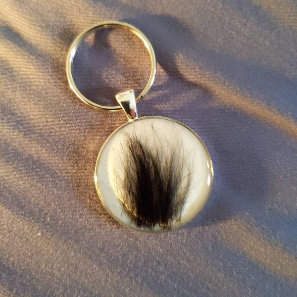 Hair Keychain, Pet Fur Keychain, Pet Fur Memorial, Pet Memorial ...