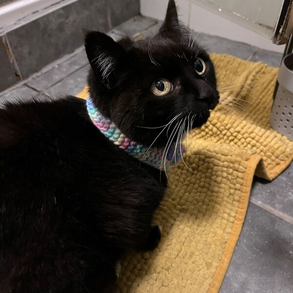 The Hand Knitted Toggle Cat Scarf - Etsy