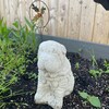 Shar-pei Dog Statue, Concrete Dog Statues, Pet Memorial Head Stones ...