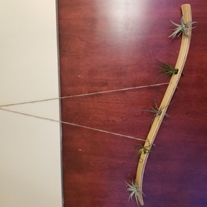 Wall Mount Diamond Planter With Saucer Geometric Wall - Etsy