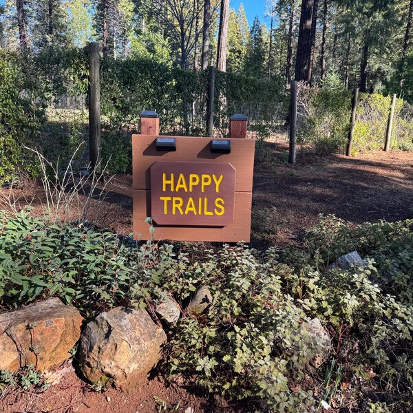 CAMP STORE Sign National & State Park Style Trail Road Home Cabin ...