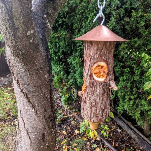 Gilwood Slot Box Bluebird House - Etsy