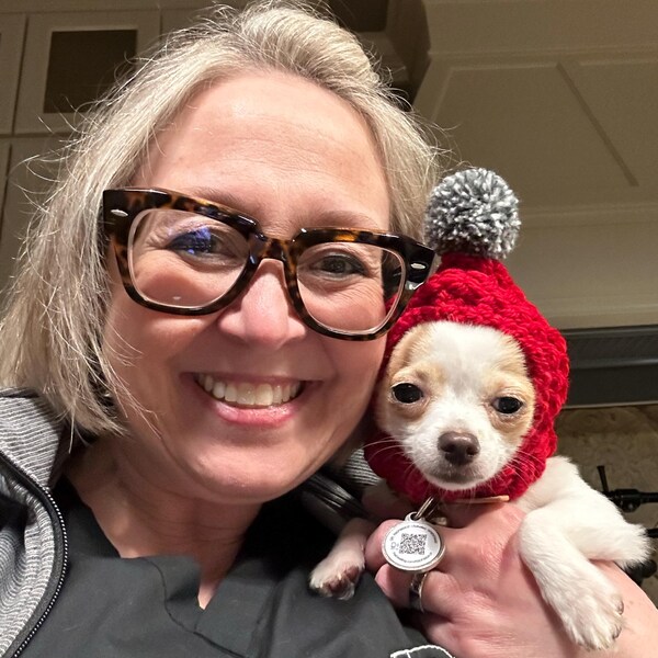 Chartreuse - Knit Wool Hat for Small Dog - Puppy Hood - Chihuahua ...