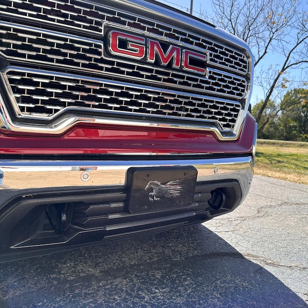 Skull & Red Roses License Plate: Gothic Punk Car Decor - Etsy