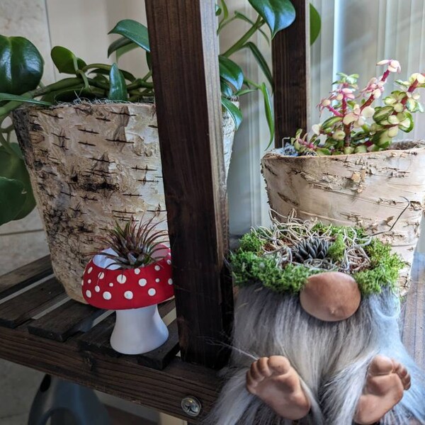 Gnome Planter: Faux Fur Beard, Clay Pot Decor - Etsy
