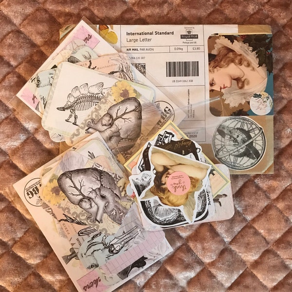 Anatomical Stickers, Skull, Skeleton, Human Body, Dinosaur, Mammoth ...