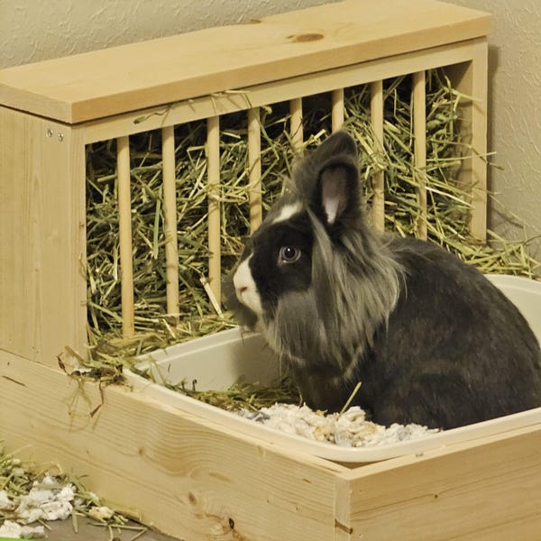 Medium - Hop Box: Rabbit Bunny Hay Feeder and Litter Pan Combo - Etsy