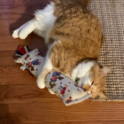 KITTY KICKERS 14 Long X 3 Wide. Made With Fresh CATNIP by ...