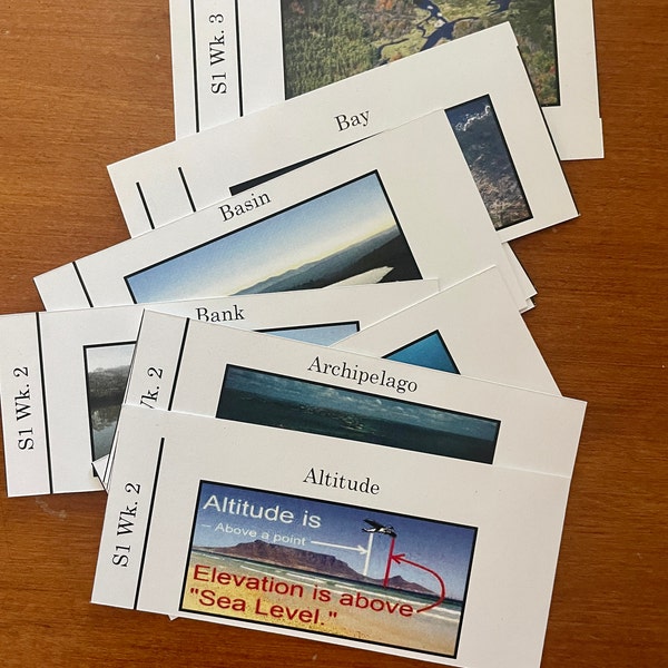 Henle Latin Grammar Rules Flashcards - Classical Conversations ...