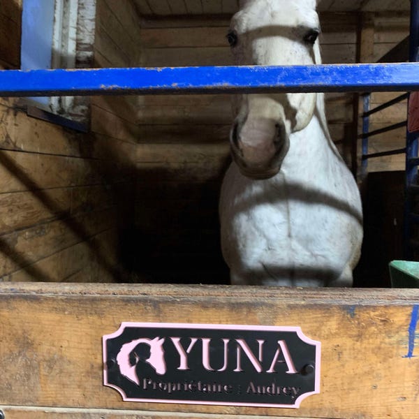 Stable Name Plate / Plaque Cut Out Traditional W/modern Twist Design ...