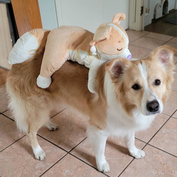 Red Border Collie Plush Snuggle Paws Plush for Anxiety, PTSD ...