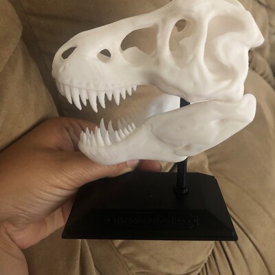 3D Printed T-rex Skull With Display Stand - Etsy