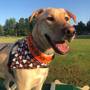 Personalized Autism Awareness Bandana Puzzle Dog Collar | Etsy