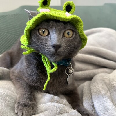 Adjustable Cute Crochet Soft Ribbon Kitten Collar Pet Costume Cat ...