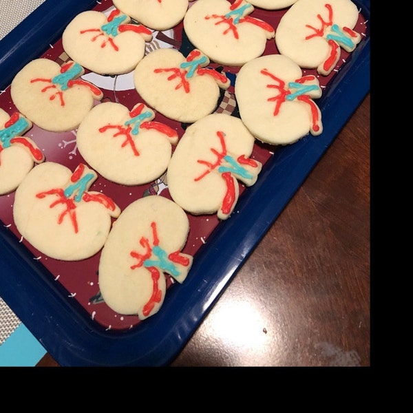 Internal Kidney Cookie Cutter Anatomical Gifts Medical Students Human ...