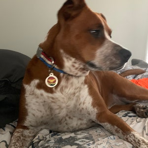 Flag of Sweden Pet Tag Swedish Flag ID Tags Custom Dog Cat | Etsy