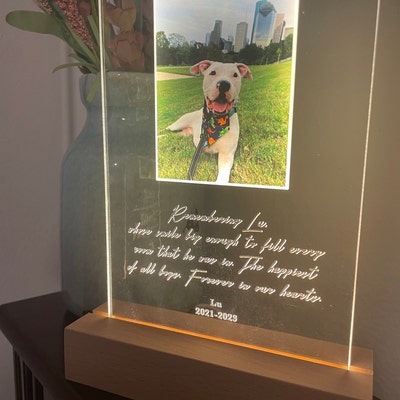 Palm Tree Scenic Personalized Custom License Vanity Plate Free Engraved ...