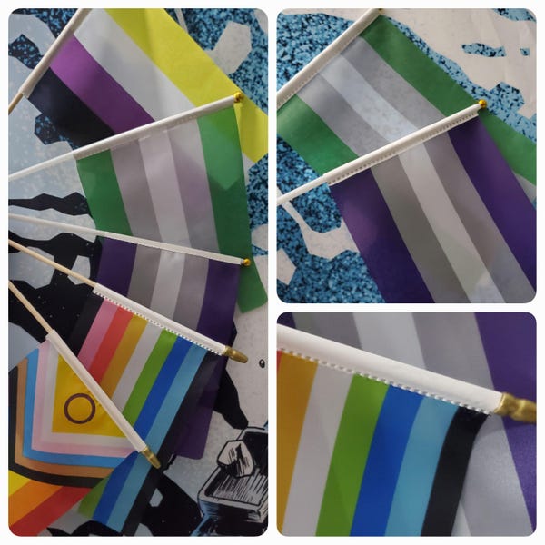 DIGITAL FILE: Printable Extended Pride Flag Reference Guide Includes ...