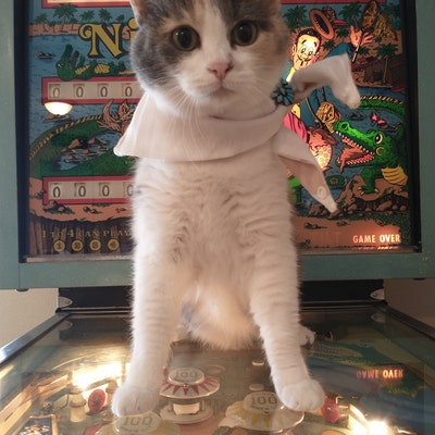 Mermaid Life Jacket - Etsy