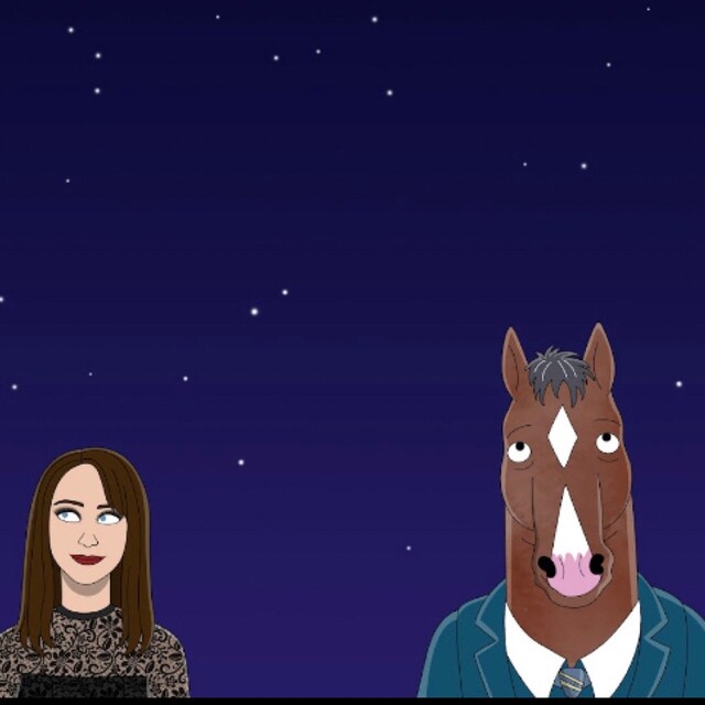 Get Your Own Bojack Horseman Custom Portrait - Personalized Cartoon Art