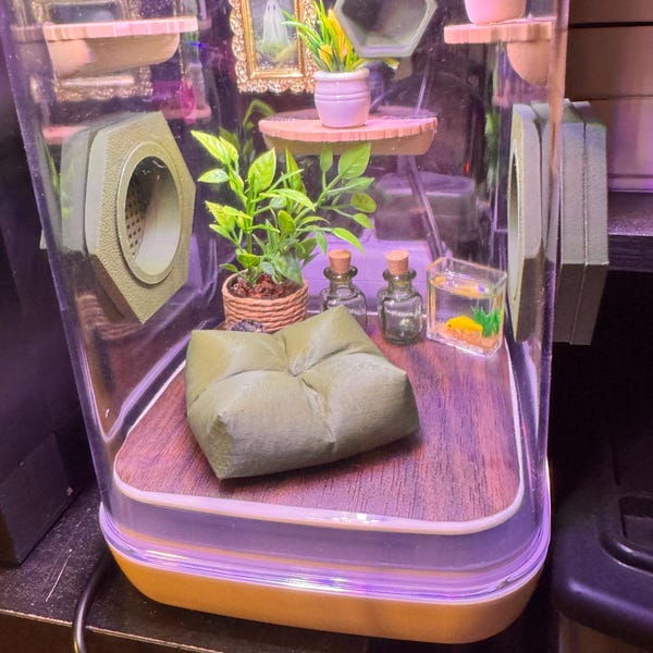 Jumping Spider Enclosure, Haunted Ghost Mansion, Spooky Decor, Acrylic ...