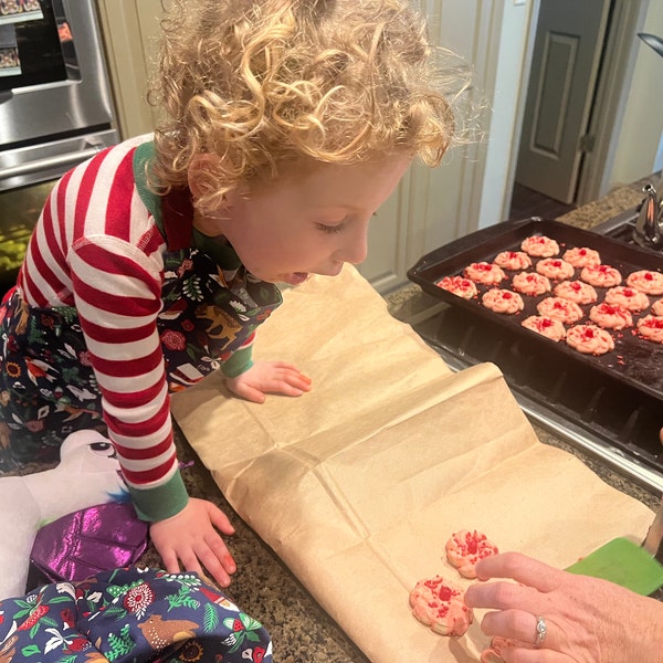 MIRRO Cookie Press Spritz Recipes and Instruction Manual PDF Booklet ...