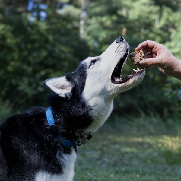 Ruff Food Real Meat Food Freeze Dried Meals for Dogs. Adventure Real ...