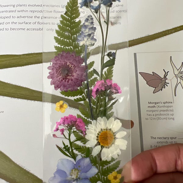 Build Your Own Bookmarks Real Dried Flowers Gift Idea for Book Lovers ...