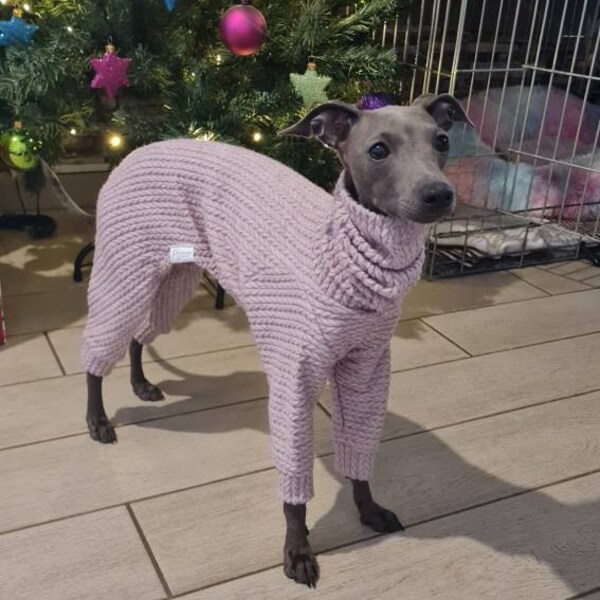 Italian Greyhound Coat, Winter Jacket, Cozy and Warm, Comfortable and ...