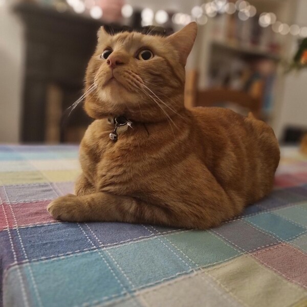 Vintage Bongo - Double Ended Drum - Percussion Instrument - Hand Carved ...