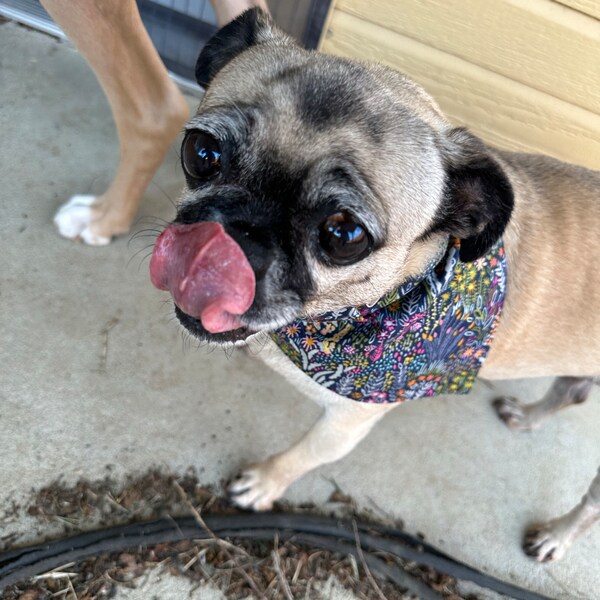 Rifle Paper Co., Weekender Bag, Amalfi, Florals, Floral Quilted Bag ...