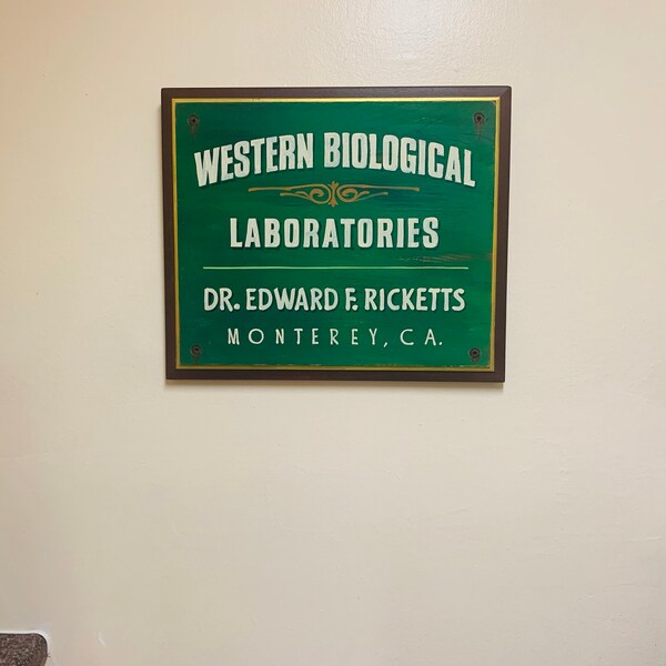 S.S. Minnow Gilligan's Island Boat Sign Hand Painted Original - Etsy