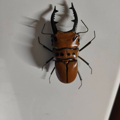 Ladybug, Bug Magnet, Small Size Handmade Clay Magnet Insect Figurine ...