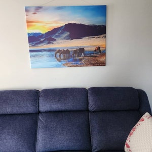 Black Jaguar Wild Cat Wall Art Design Poster Print Decor for - Etsy