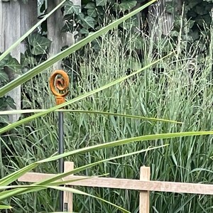 4' Garden Stakes Property Marker Driveway Marker Tree Stake WISE OAK ...