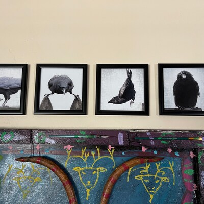 Raven Peace A Single Raven in the Top of a Tree Signed Fine - Etsy