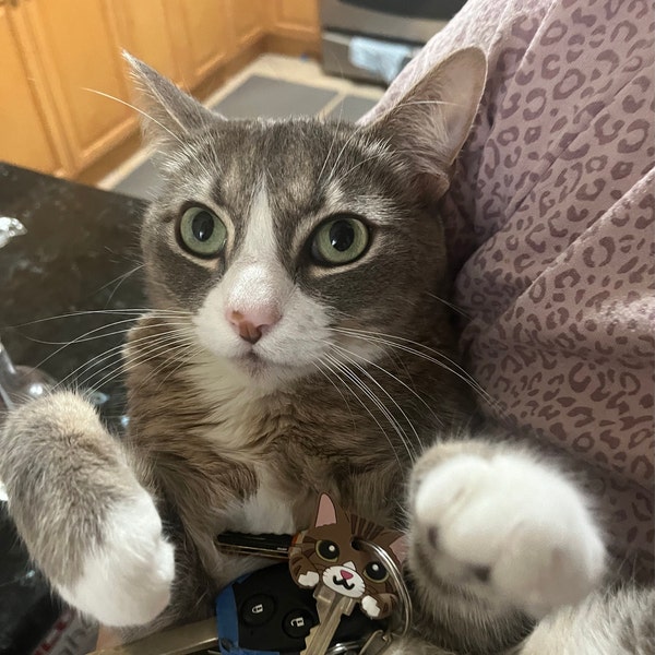 Cat Key Cover/ Key Identifier - Etsy