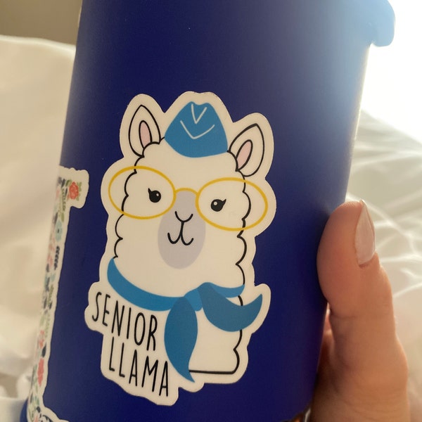 Airport Standby Netflix Flight Attendant Sticker | Someflystuff - Etsy