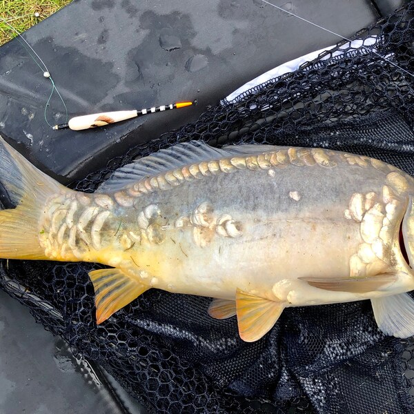 DIY Fishing Float Making Kit (deluxe) - Etsy